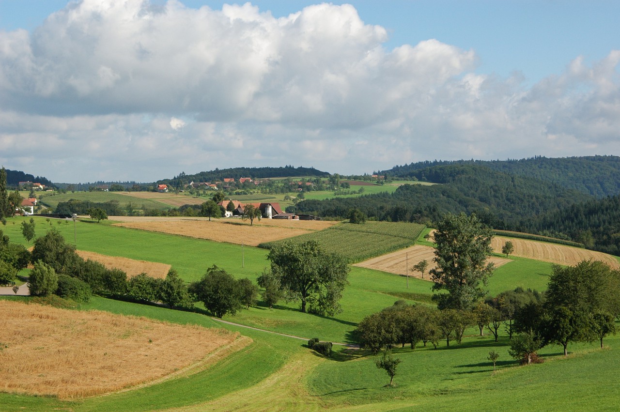Schwarzwaldort Freiamt - Orte im Schwarzwald - Ortsinformationen im Detail
