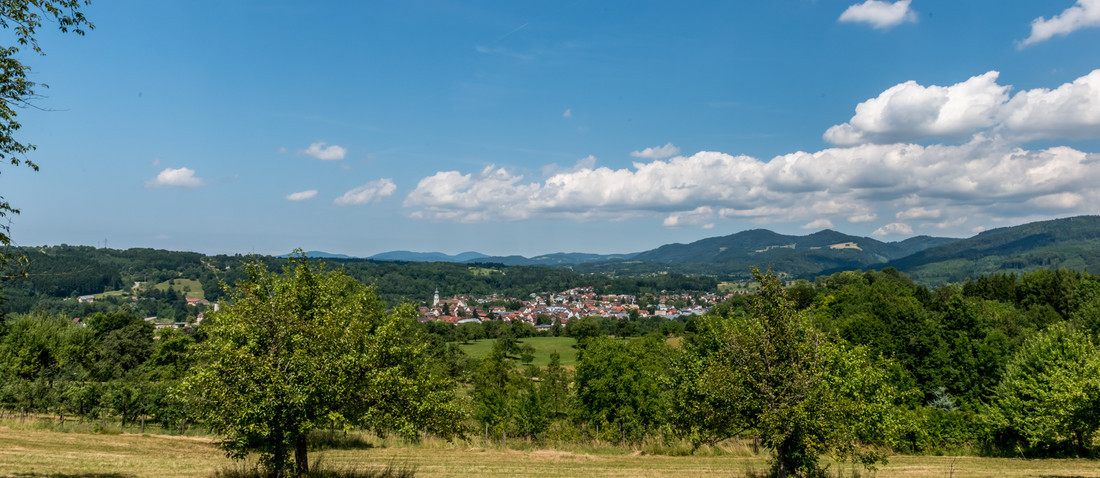 Schwarzwaldort Wehr - Orte im Schwarzwald - Ortsinformationen im Detail