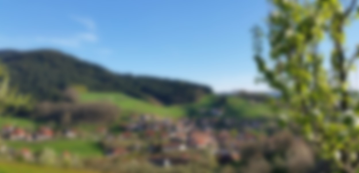 Schwarzwaldort Seebach - Orte im Schwarzwald - Ortsinformationen im Detail