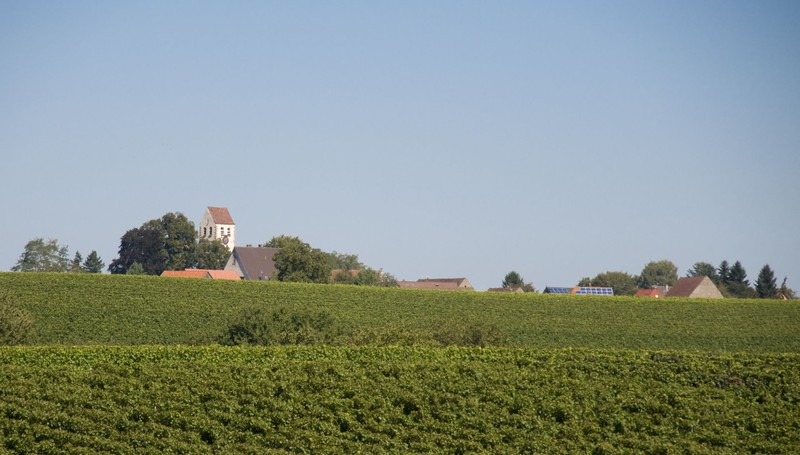 Schwarzwaldort Buggingen - Orte im Schwarzwald - Ortsinformationen im ...