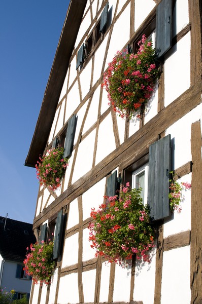 Schwarzwaldort Buggingen - Orte im Schwarzwald - Ortsinformationen im ...