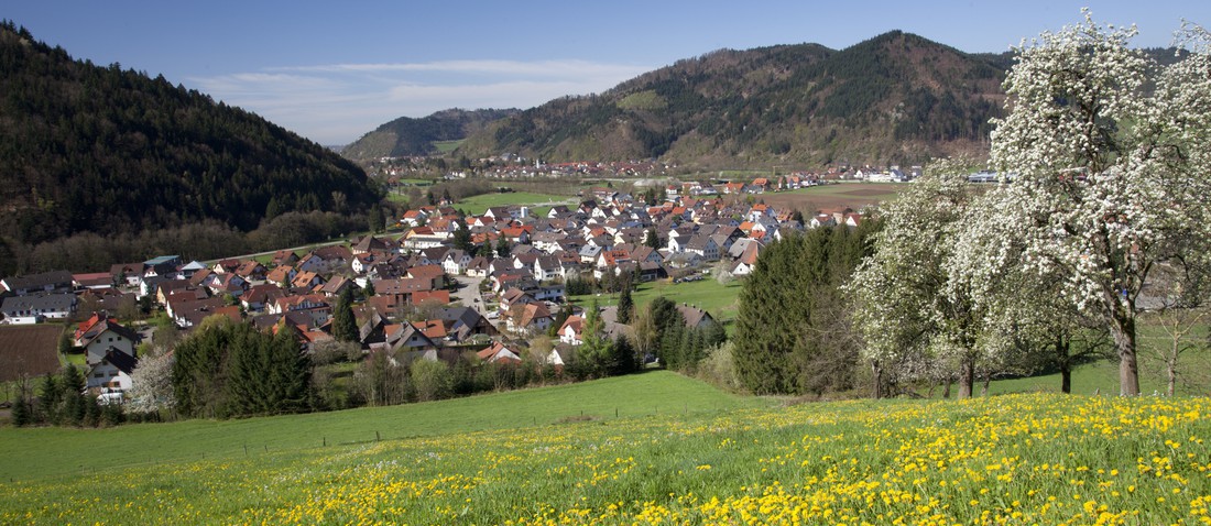 Schwarzwaldort Gutach im Breisgau - Orte im Schwarzwald ...