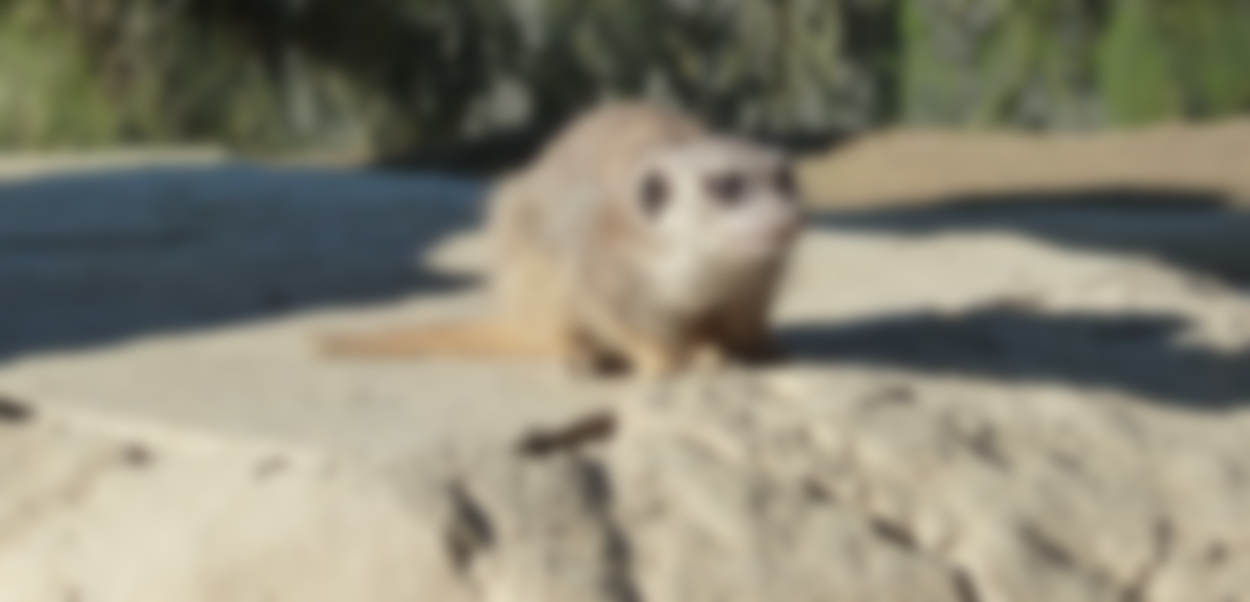 Mundenhof bei Freiburg